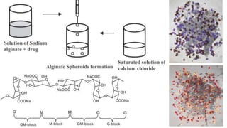Sodium alginate beads | PPTX