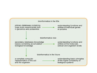 Basic of bioinformatics | PDF