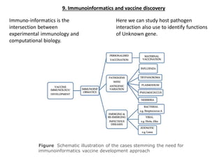 Basic of bioinformatics | PDF