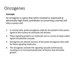 Oncogenes, proto-oncogenes and tumor suppressor gene | PPTX