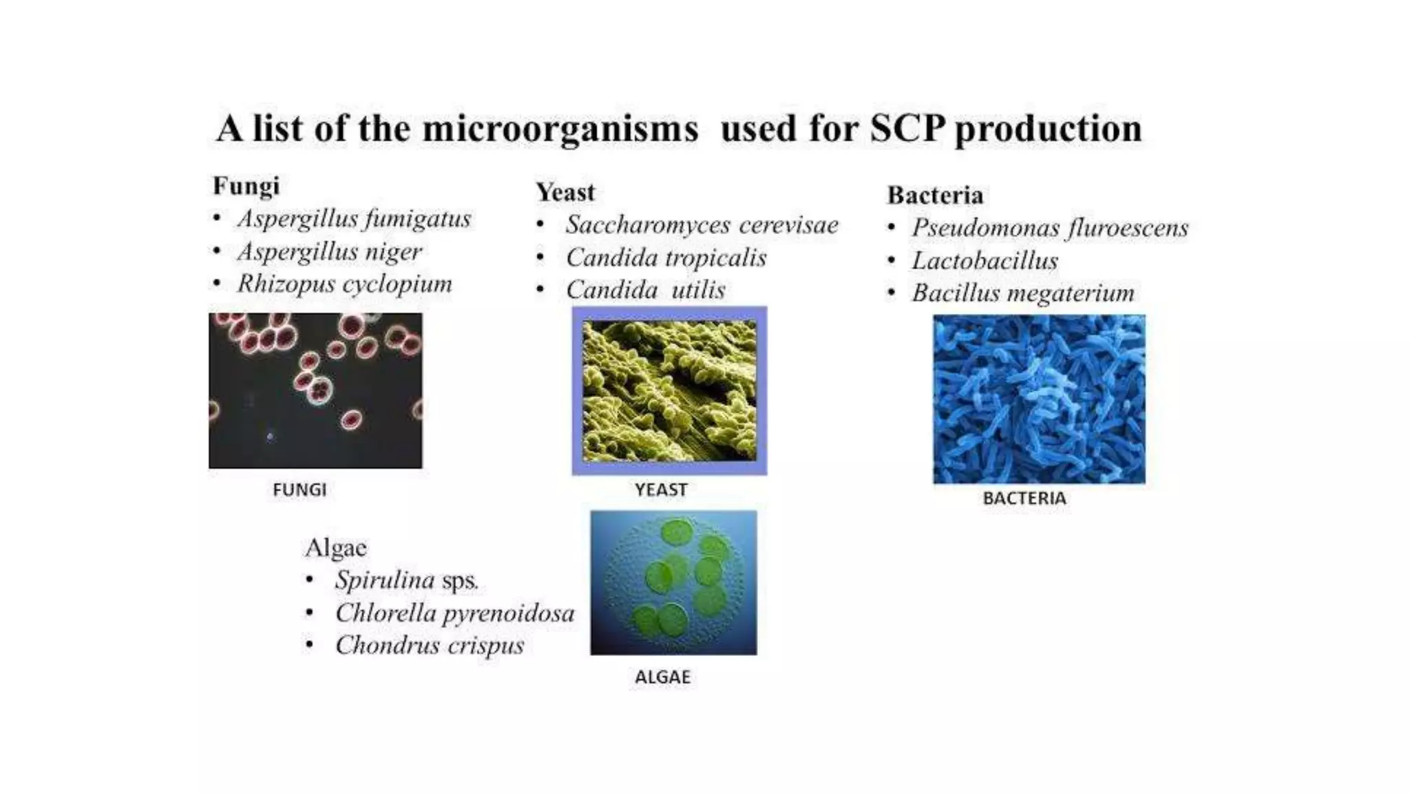 Industrial microbes and products.pptx