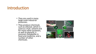 Industrial microbes and products.pptx