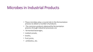 Industrial microbes and products.pptx