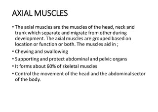 The musculoskeletal system | PDF