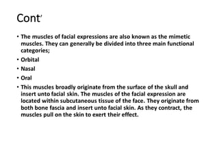 The musculoskeletal system | PPT