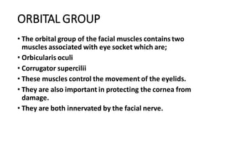 The musculoskeletal system | PDF