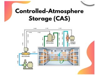Controle atmosphere and modified atmosphere store and packaging | PPTX