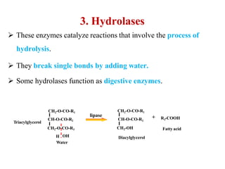 DOC-20230326-WA0034..pptx