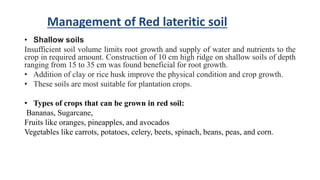 Management of Red lateritic soil and Dry land soil...pptx