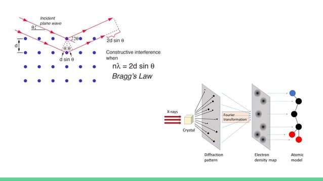 X ray crystallography to visualize protein structure. | PDF