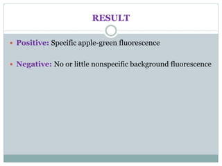 immunfluoresence | PPTX
