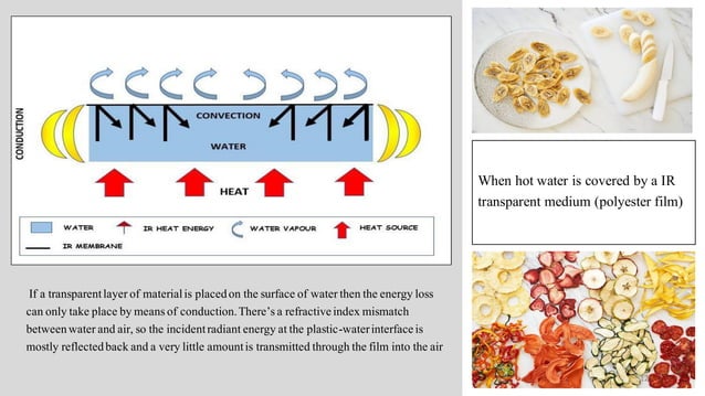 REFRACTANCE WINDOW DRYING | PDF