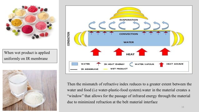 REFRACTANCE WINDOW DRYING | PDF