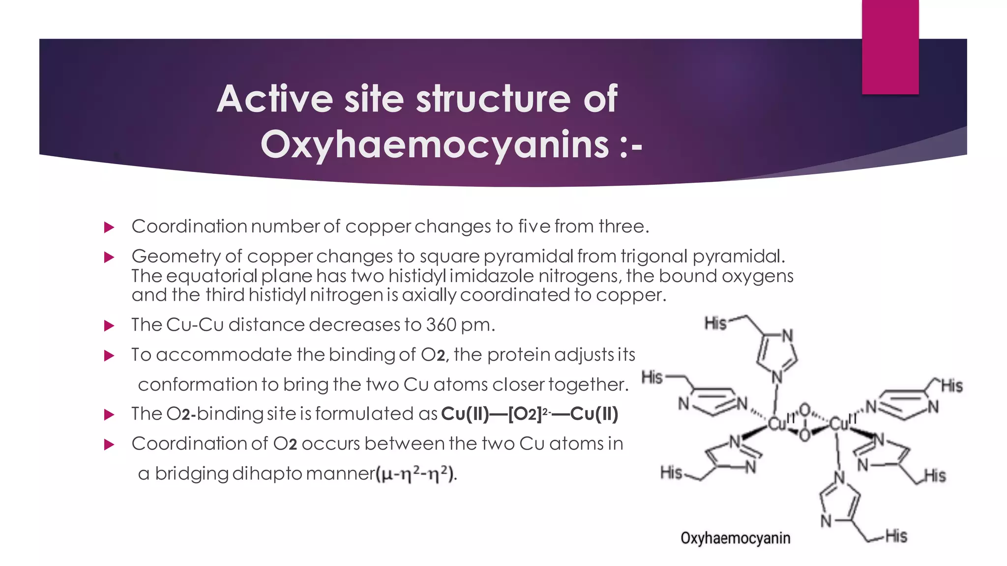 Hemocyanin & Hemethrine | PDF