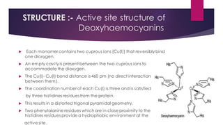 Hemocyanin & Hemethrine | PDF