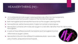 Hemocyanin & Hemethrine | PDF