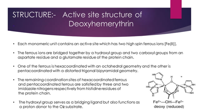 Hemocyanin & Hemethrine | PDF | Chemistry | Science