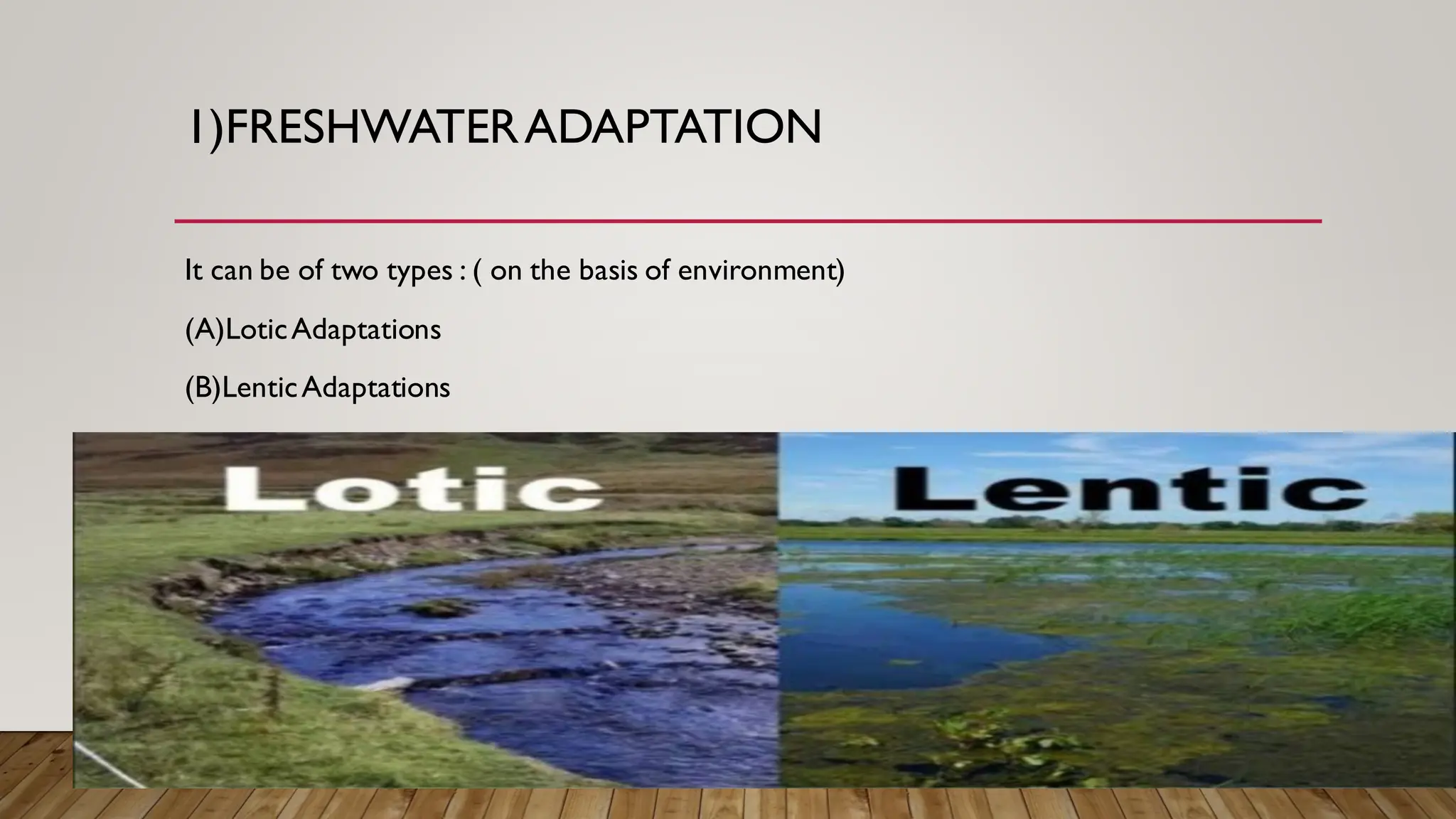 Adaptations (Levels, Types, Significance) | PDF