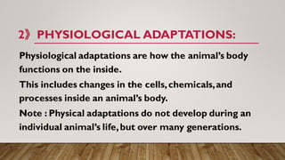 Adaptations (Levels, Types, Significance) | PDF