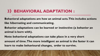Adaptations (Levels, Types, Significance) | PDF