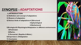Adaptations (Levels, Types, Significance) | PDF