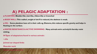Adaptations (Levels, Types, Significance) | PDF