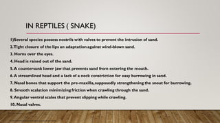 Adaptations (Levels, Types, Significance) | PDF