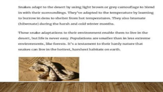 Adaptations (Levels, Types, Significance) | PDF