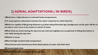 Adaptations (Levels, Types, Significance) | PDF