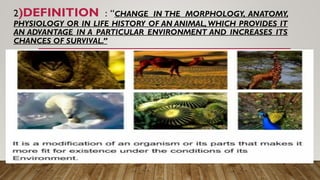 Adaptations (Levels, Types, Significance) | PDF