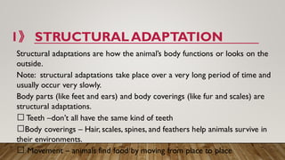 Adaptations (Levels, Types, Significance) | PDF