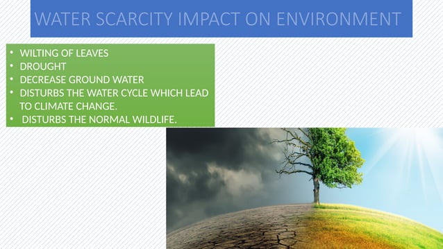 Steps for Water Conservation including government initiative | PPT ...