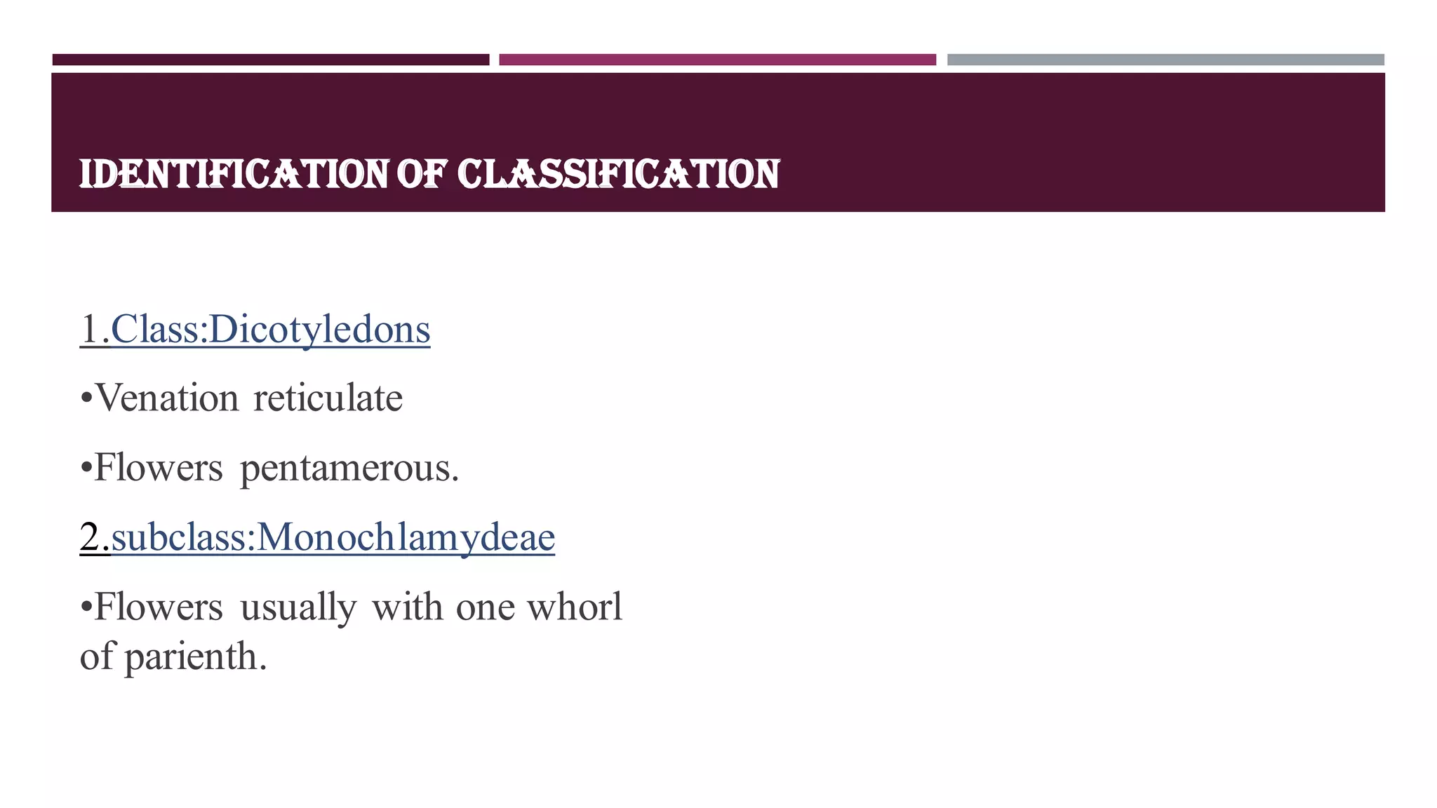 EUPHORBIACEAE FAMILY PPT | PDF