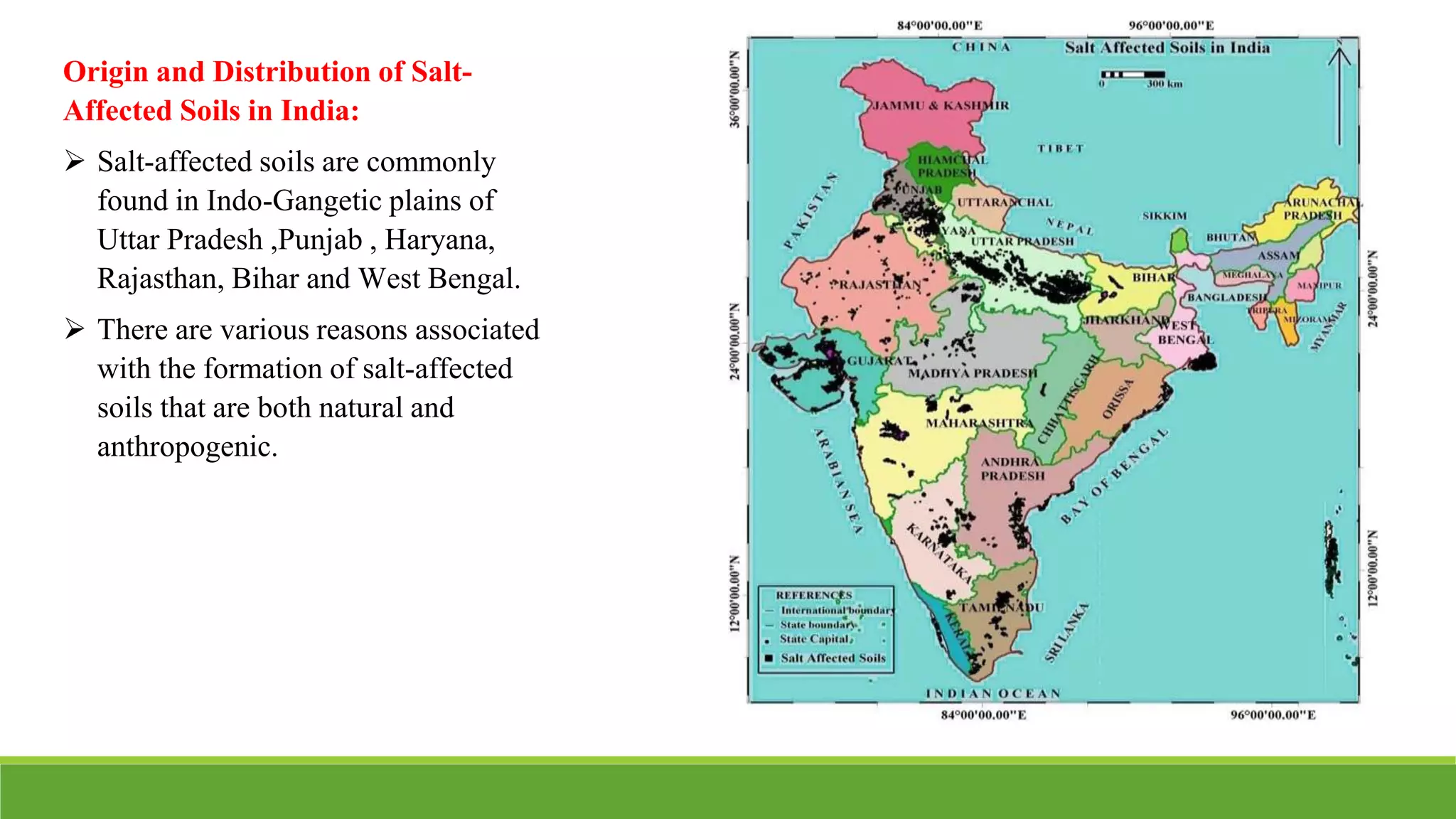Multifunctional Agroforestry System – a potential option for ...