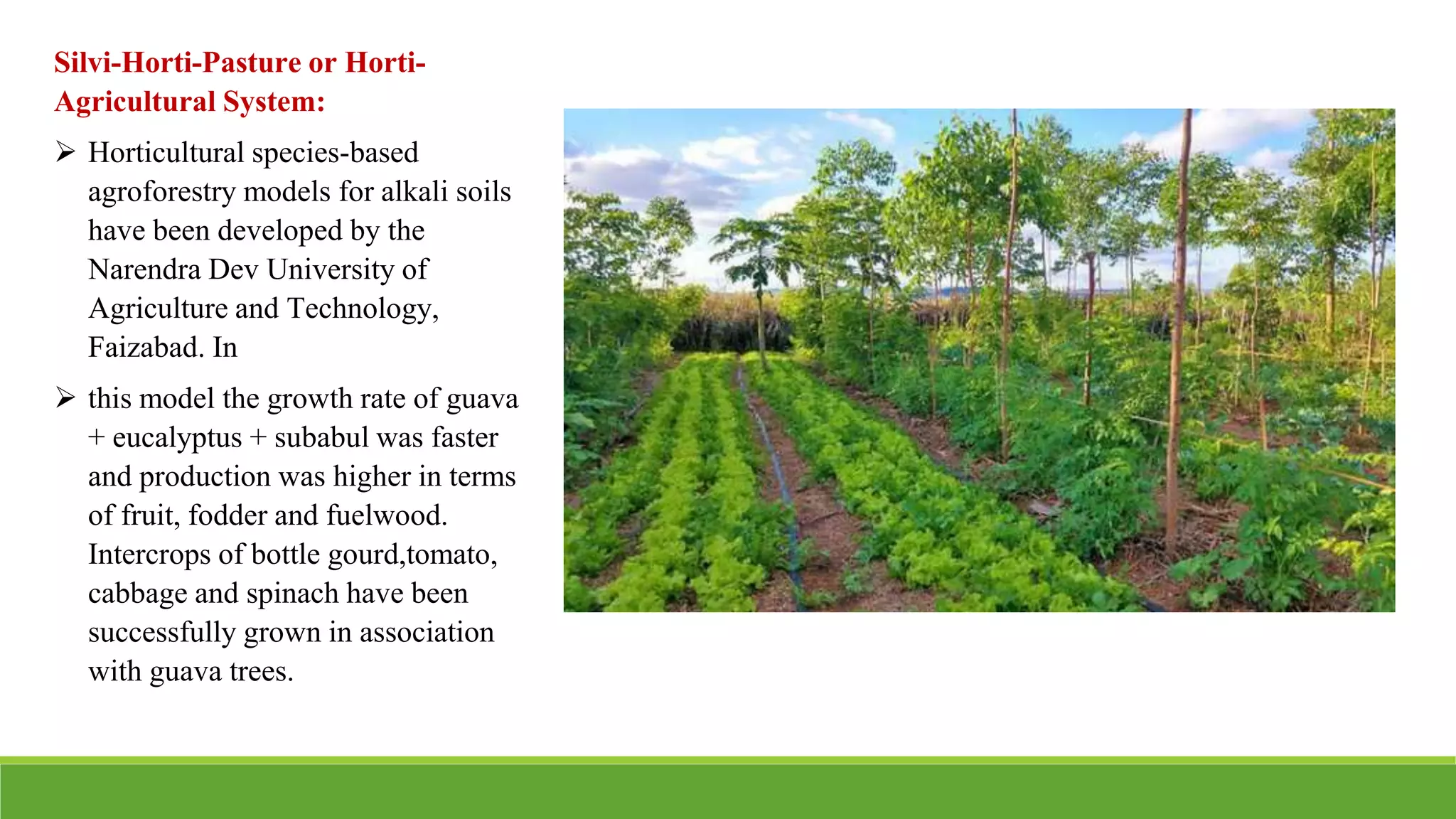 Multifunctional Agroforestry System – a potential option for ...