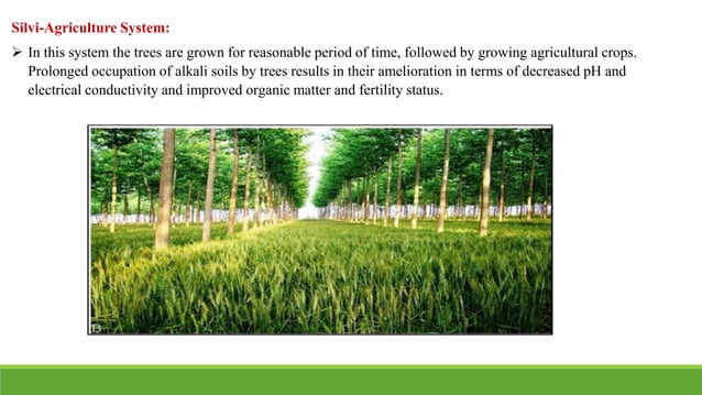 Multifunctional Agroforestry System – a potential option for ...