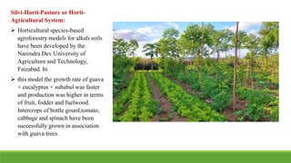 Multifunctional Agroforestry System – a potential option for ...