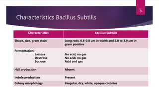 DOC-20230510-WA0010..pptx