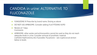 Guidelines of antifungals therapy | PPTX