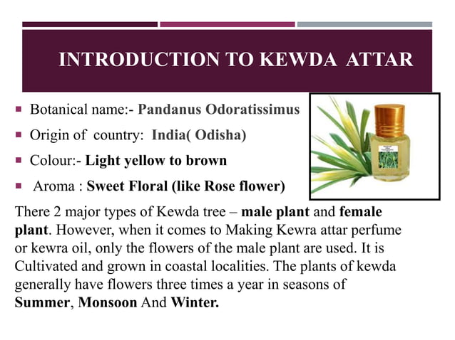 Attar manufacturing process ppt | PPTX | Perfume and Fragrance | Beauty