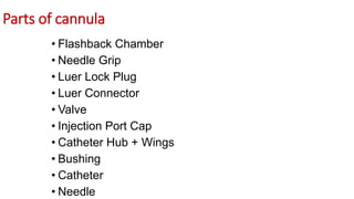 IV CANNULION | PPT