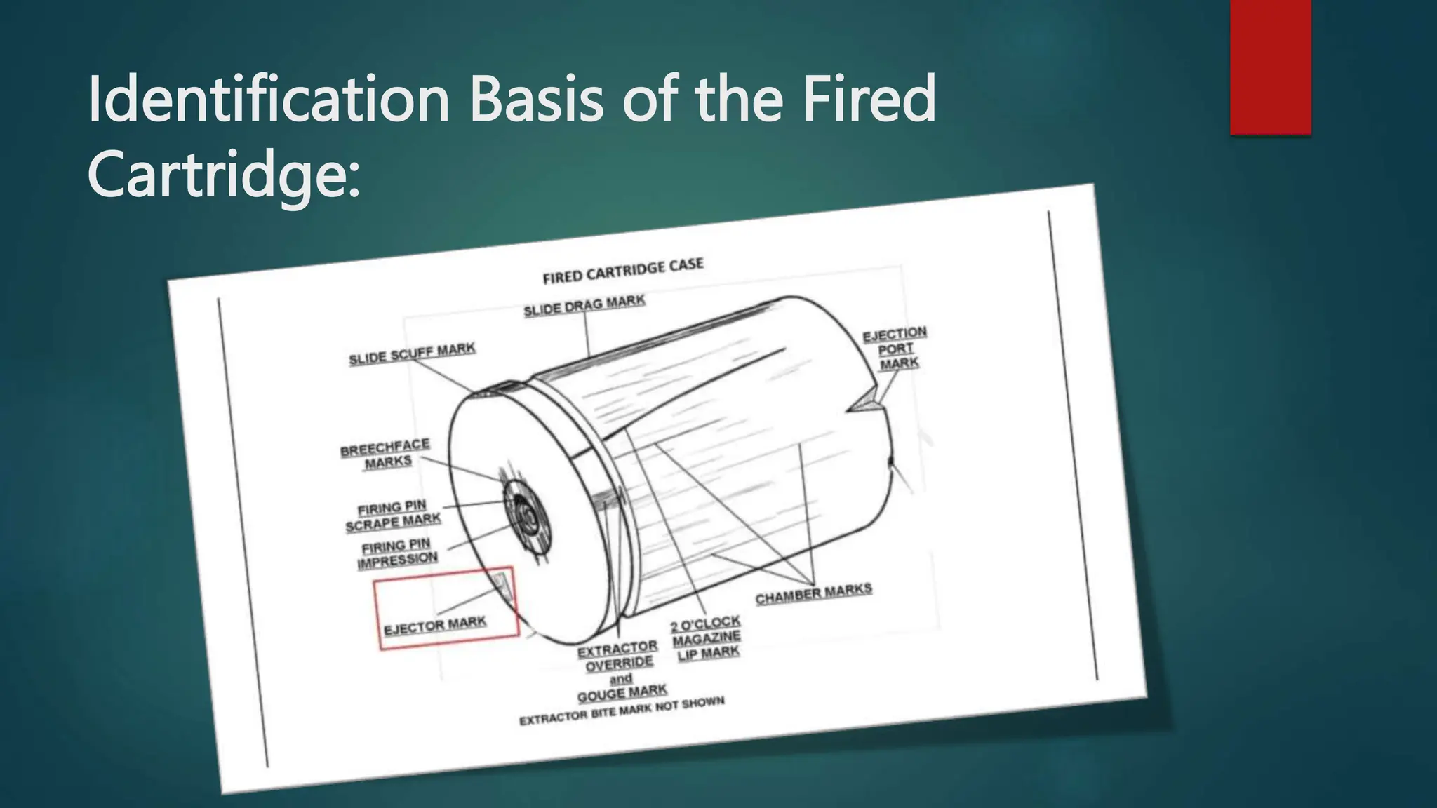 Different types of marks produce during firing process | PPTX