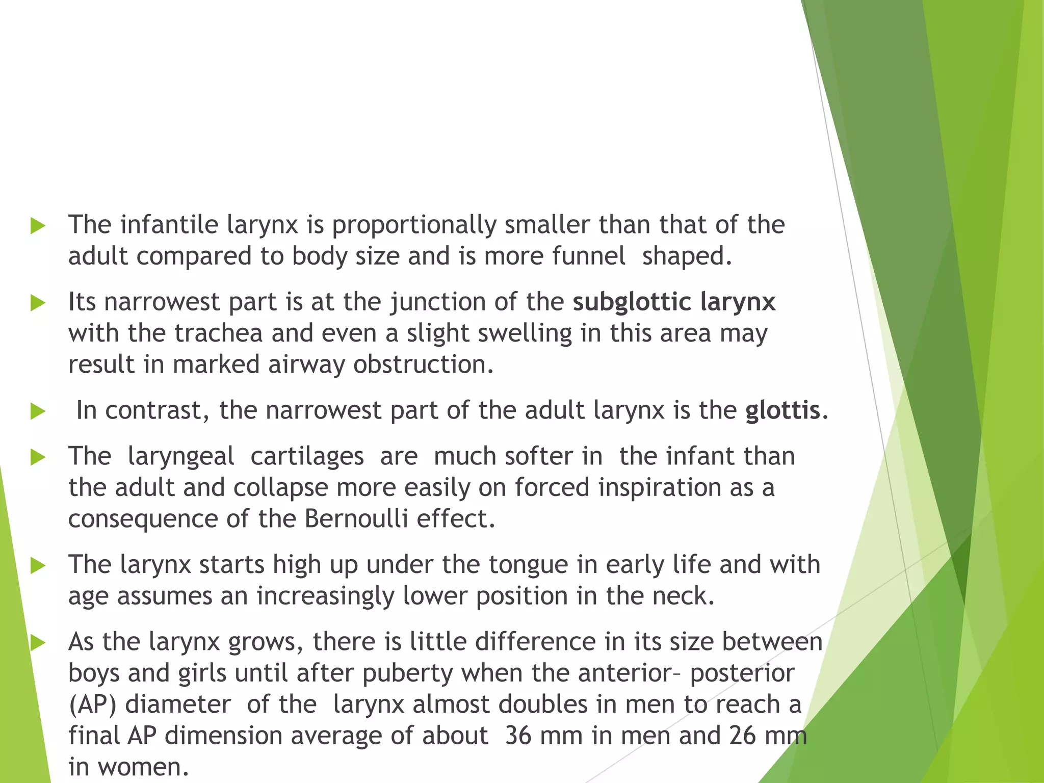 Anatomy of larynx | PPTX