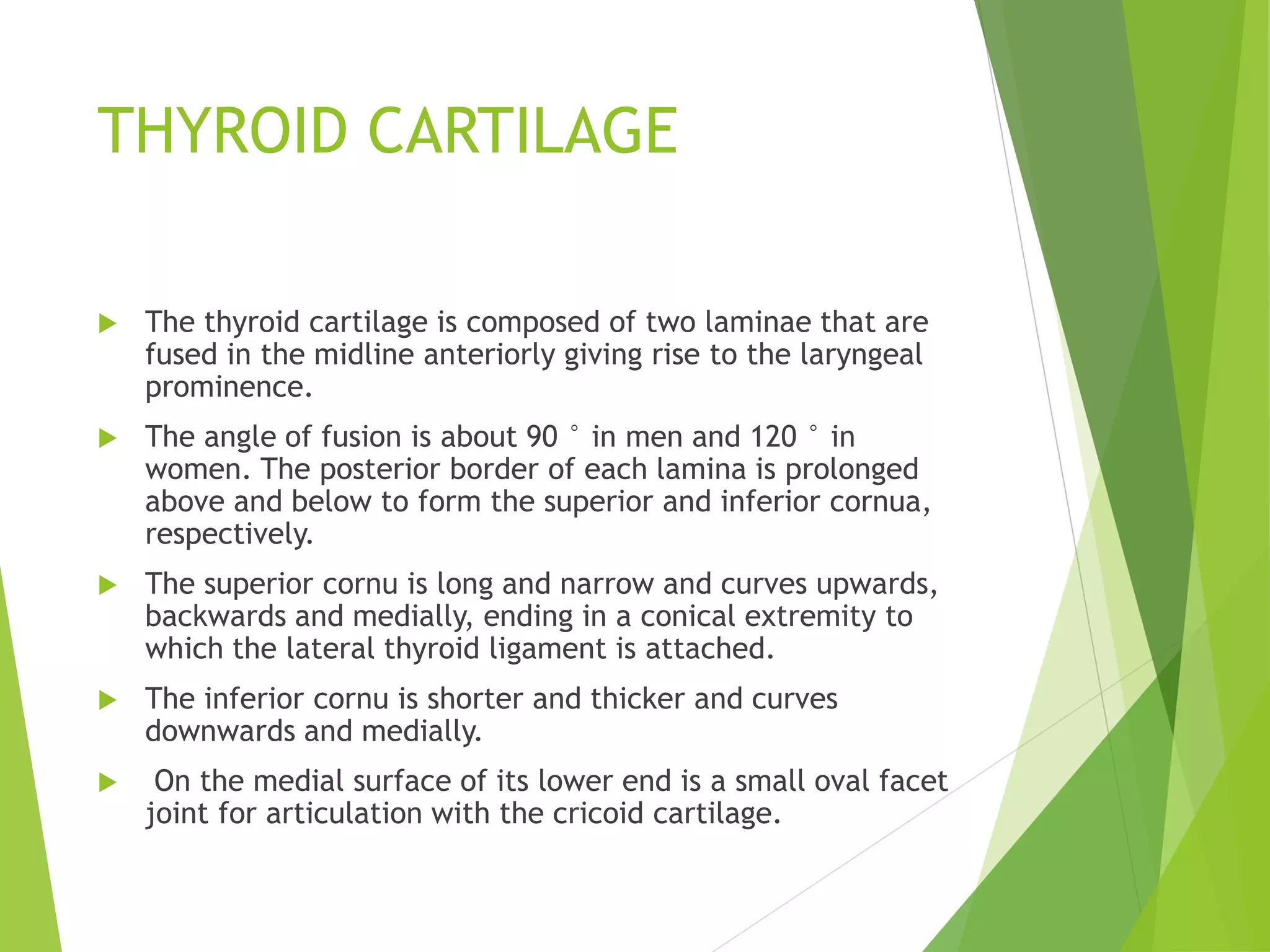 Anatomy of larynx | PPTX