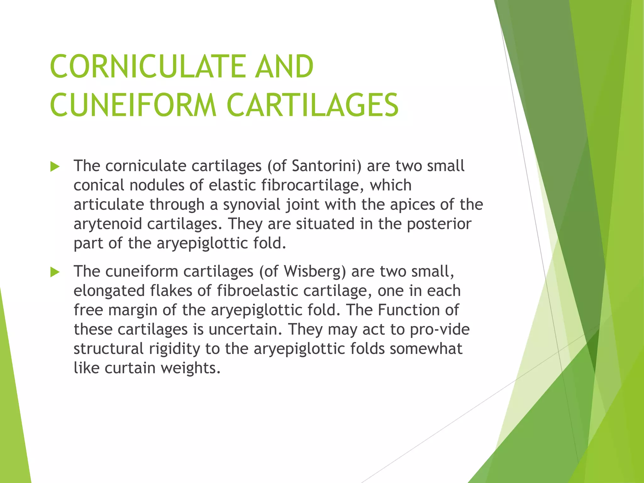 Anatomy of larynx | PPTX