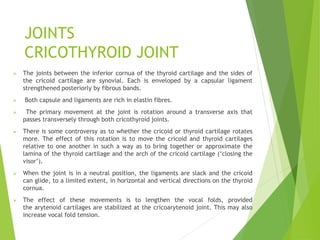 Anatomy of larynx | PPTX