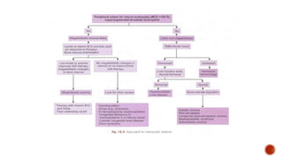 Approach to Anemia in children.pptx