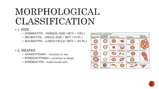 Approach to Anemia in children.pptx