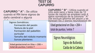 Recién Nacido y escalas para determinar la edad gestacional | PPTX