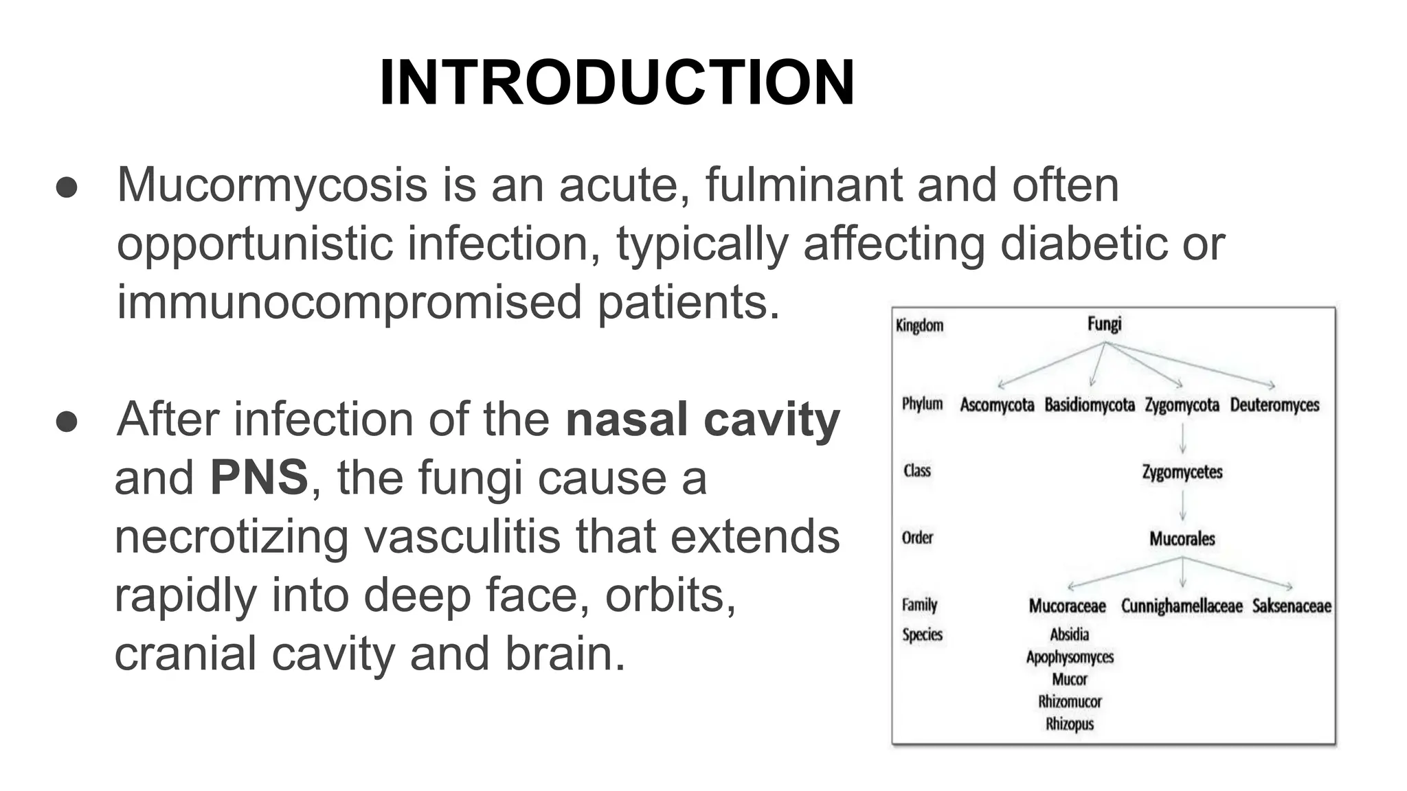 Mucormycosis radiological evidence in ct and mri | PDF